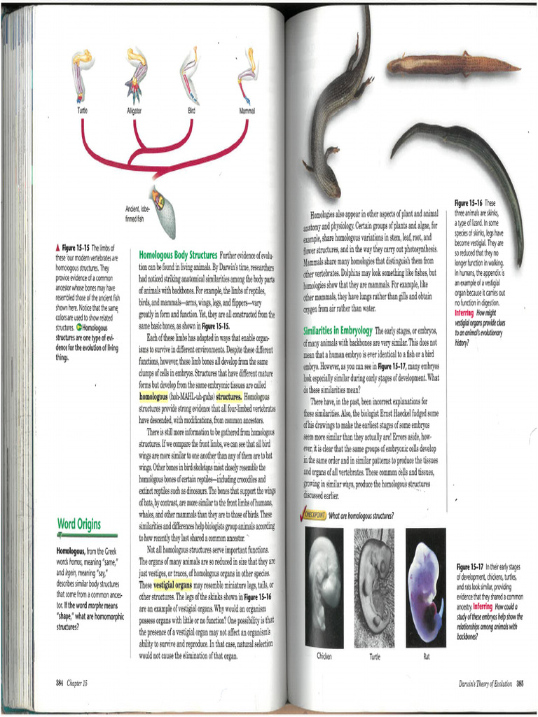 04 Biology 11 - 2006 Miller & Levine Textbook Chapter 15 To 16 | PDF