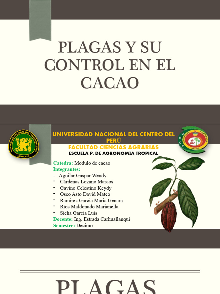 Plagas y Su Control en El Cacao | PDF | Insectos