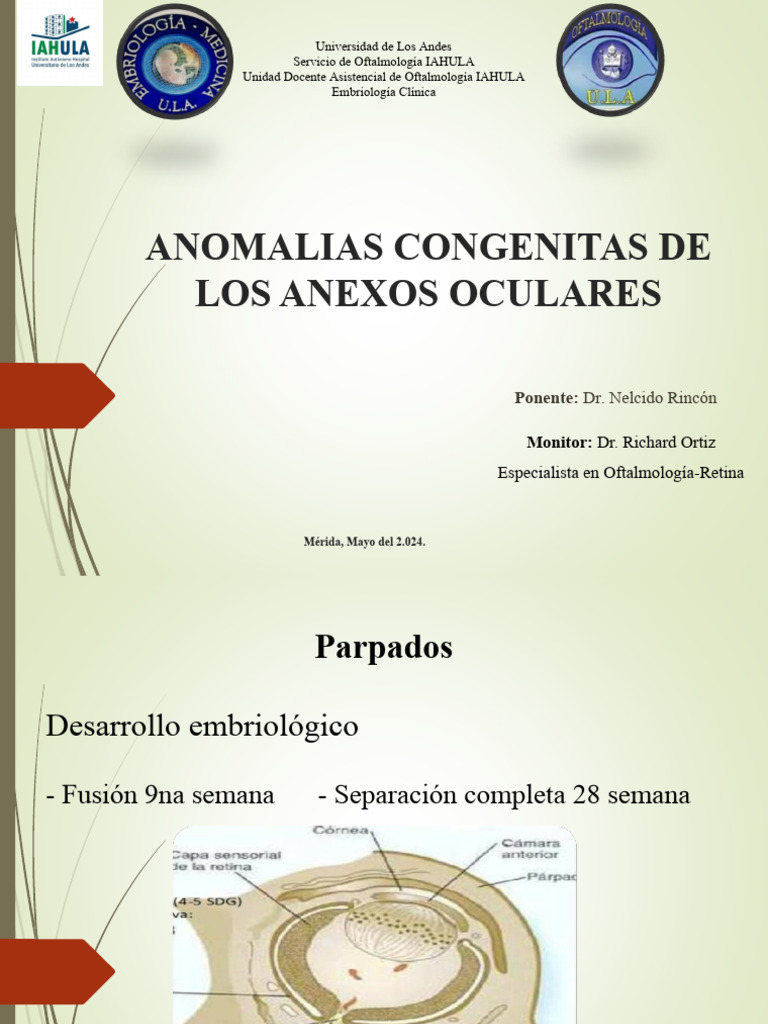 Anomalias Congenitas de Anexos Oculares - Nelcido | PDF | Epitelio ...