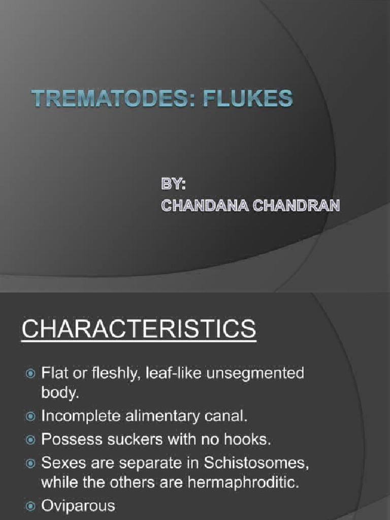 Trematodes Flukes | PDF