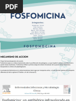 Prosp Fosfolea | PDF | Infección del tracto urinario | Bacterias Gram ...