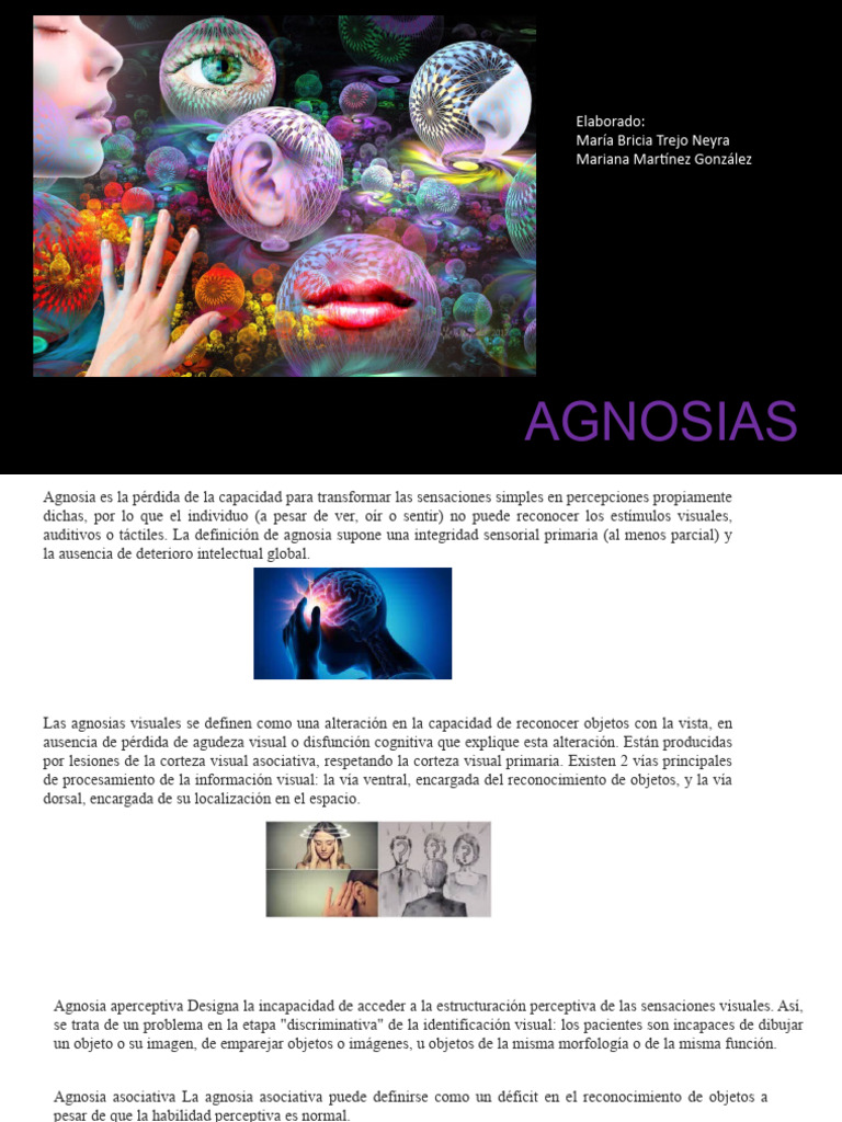 Agnosia S | PDF | Percepción visual | Cerebro