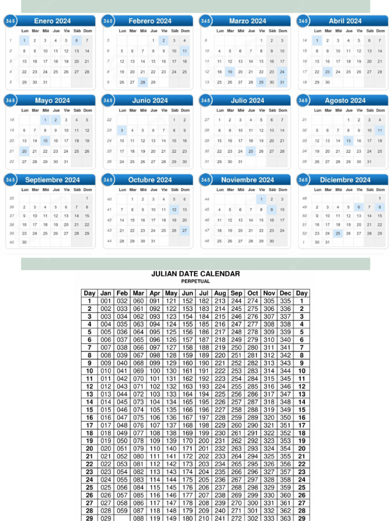 Codigo de Lote Juliano 2024 | PDF