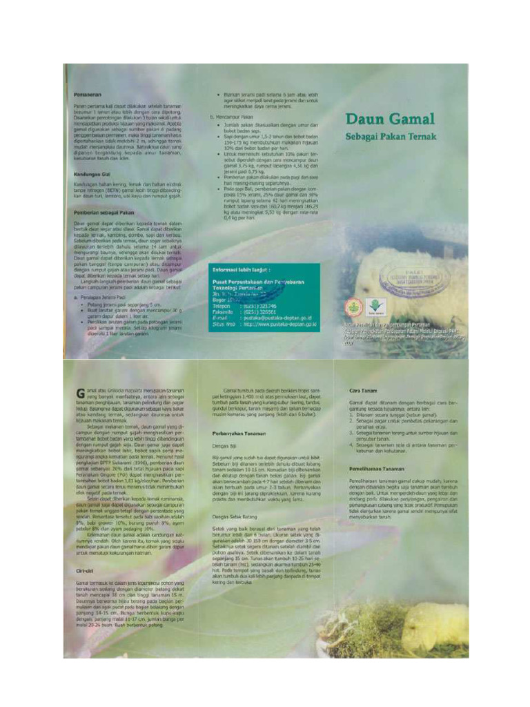 8 Daun Gamal Sebagai Pakan Ternak | PDF