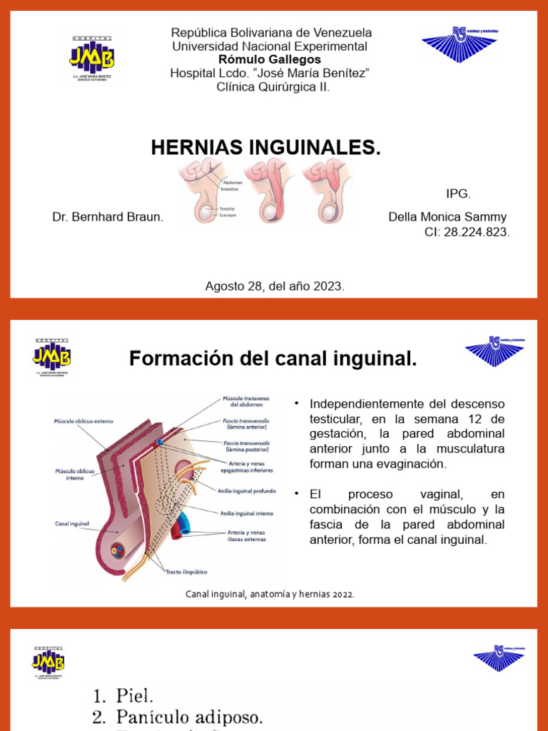 Hernias Inguinales | PDF | Abdomen | Anatomía