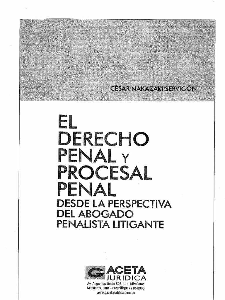 NAKASAKI, Cesar. ADMISION DE LA PRUEBA NUEVA | PDF | Apelación | Ley ...