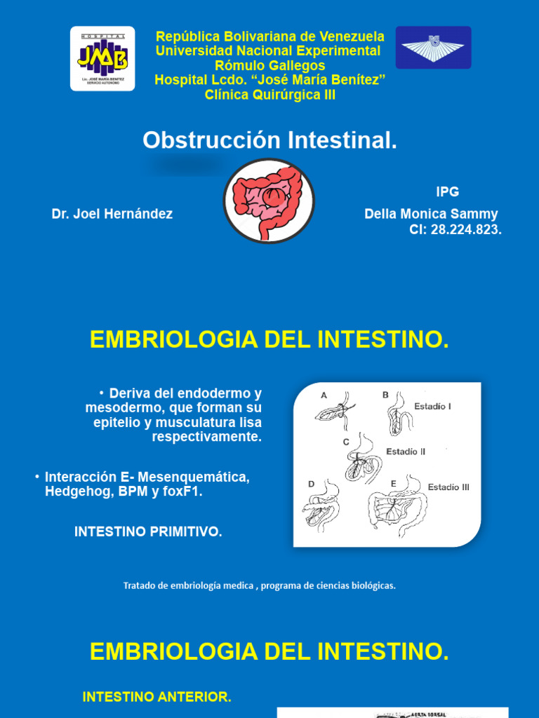 Obstruccion Intestinal Pdf Intestino Grueso Tracto Gastrointestinal