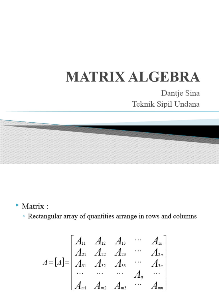 Matrix Algebra Pdf Matrix Mathematics Mathematics