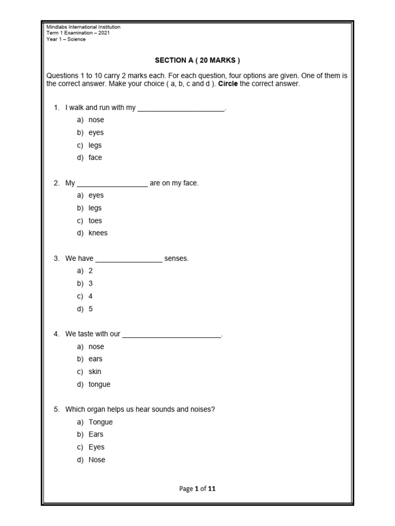 Y1 Science 1st Term Paper | PDF | Senses | Taste