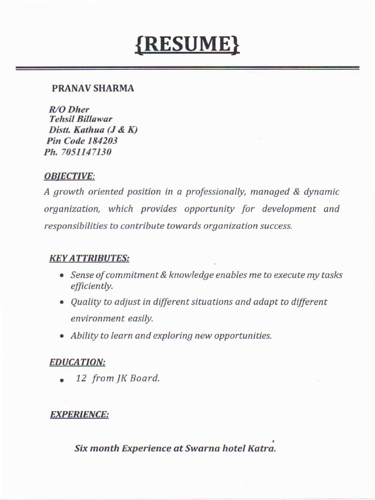 Pranav | PDF