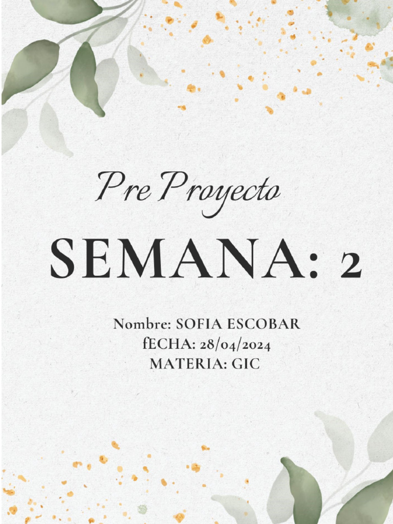 Pre Proyecto S.E | PDF