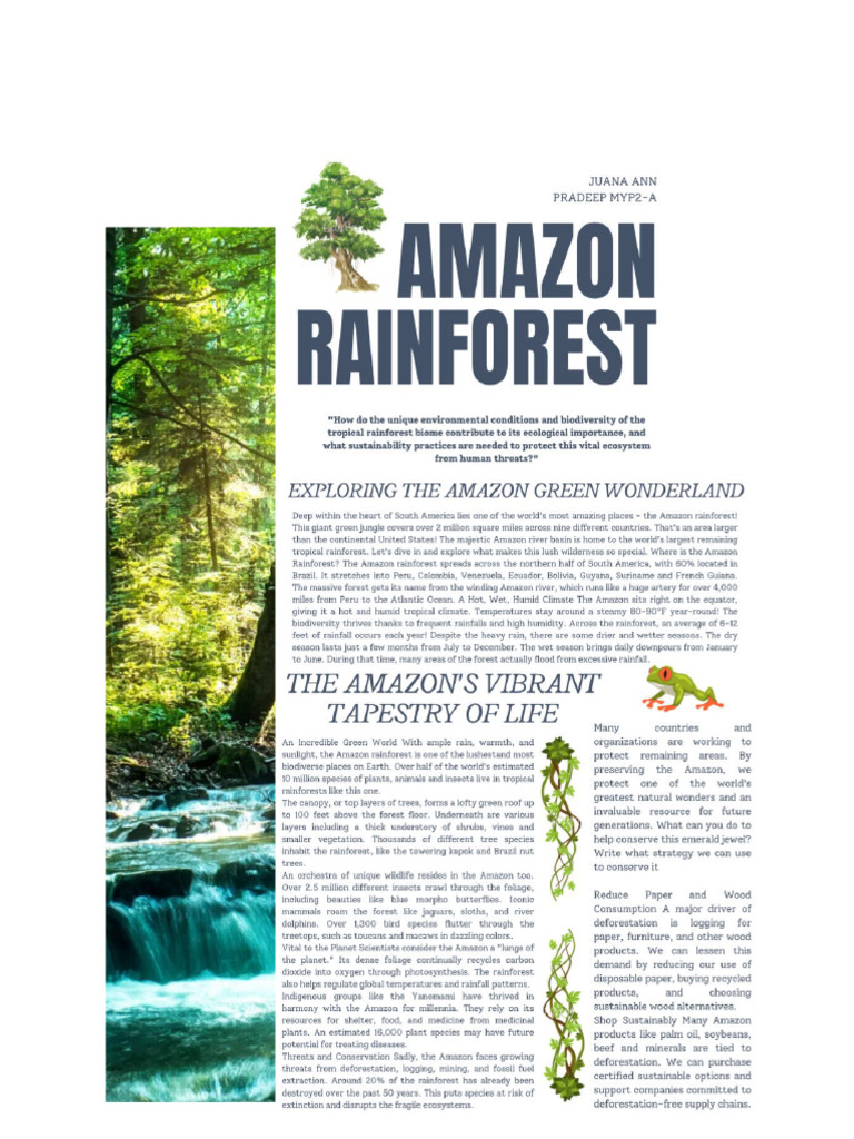 Amazon Rainforest | PDF