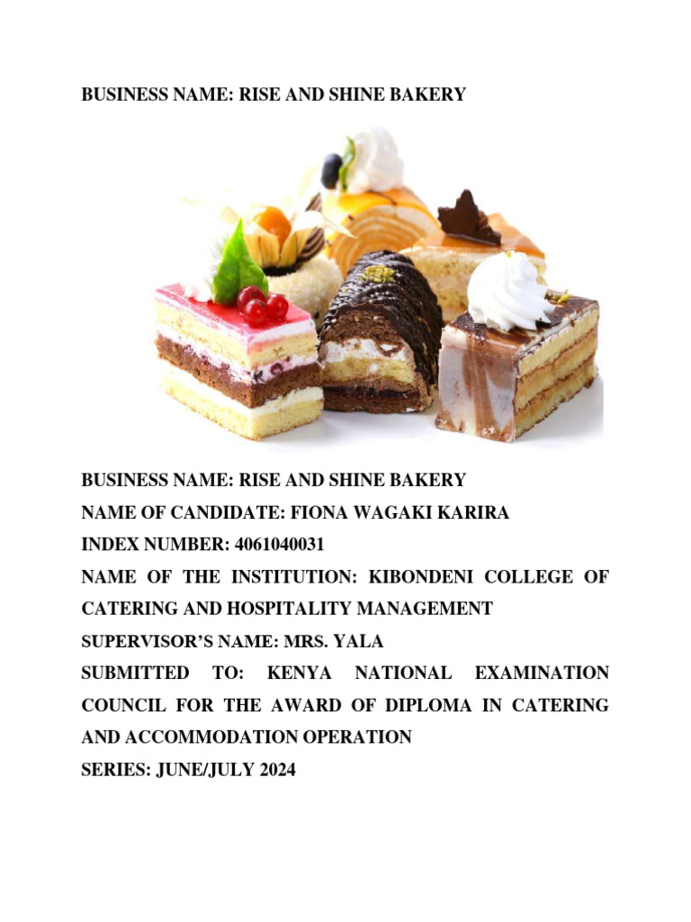 Fiona Wagaki Business Plan | Download Free PDF | Incentive | Target Audience