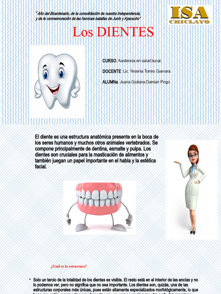 Los DIENTES | PDF | Diente humano | Diente