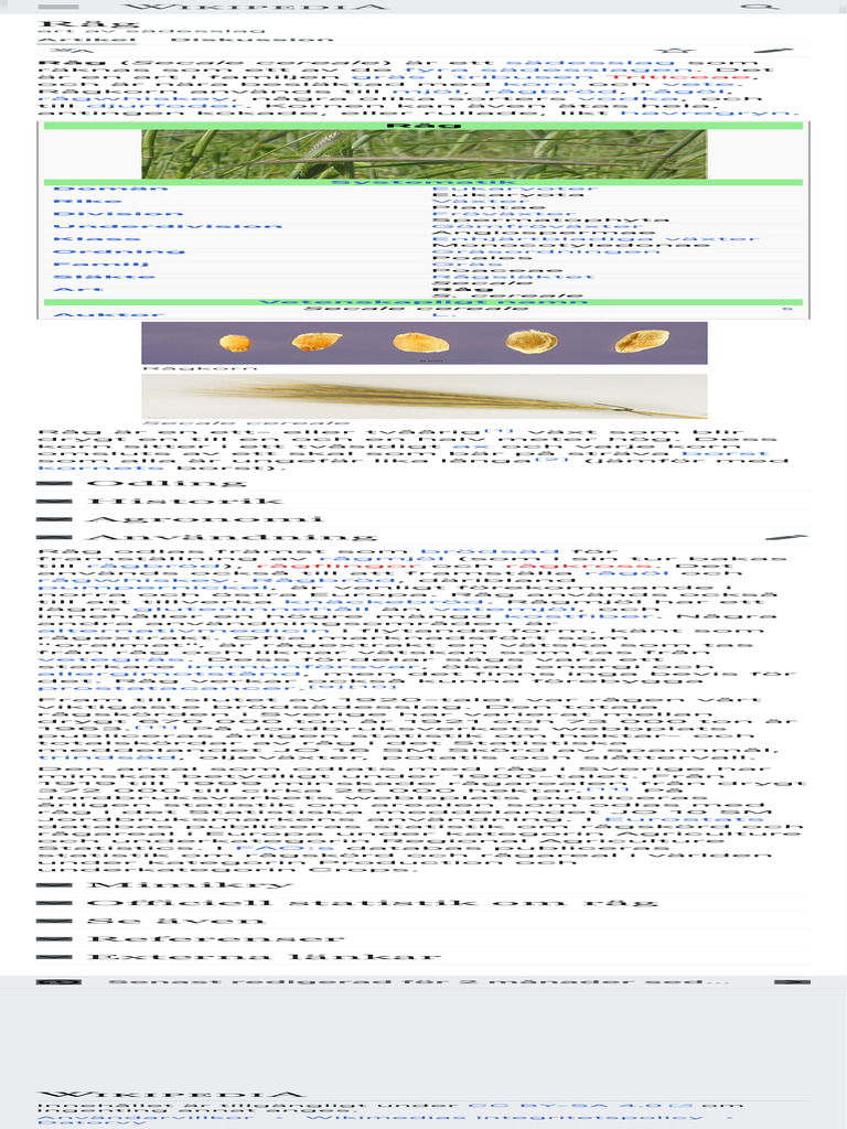 Råg - Wikipedia | PDF