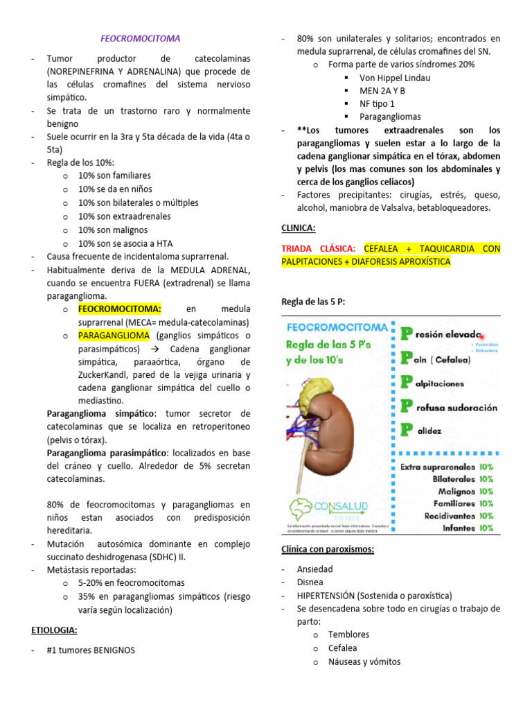 FEOCROMOCITOMA | PDF | Glándula suprarrenal | Enfermedades y trastornos