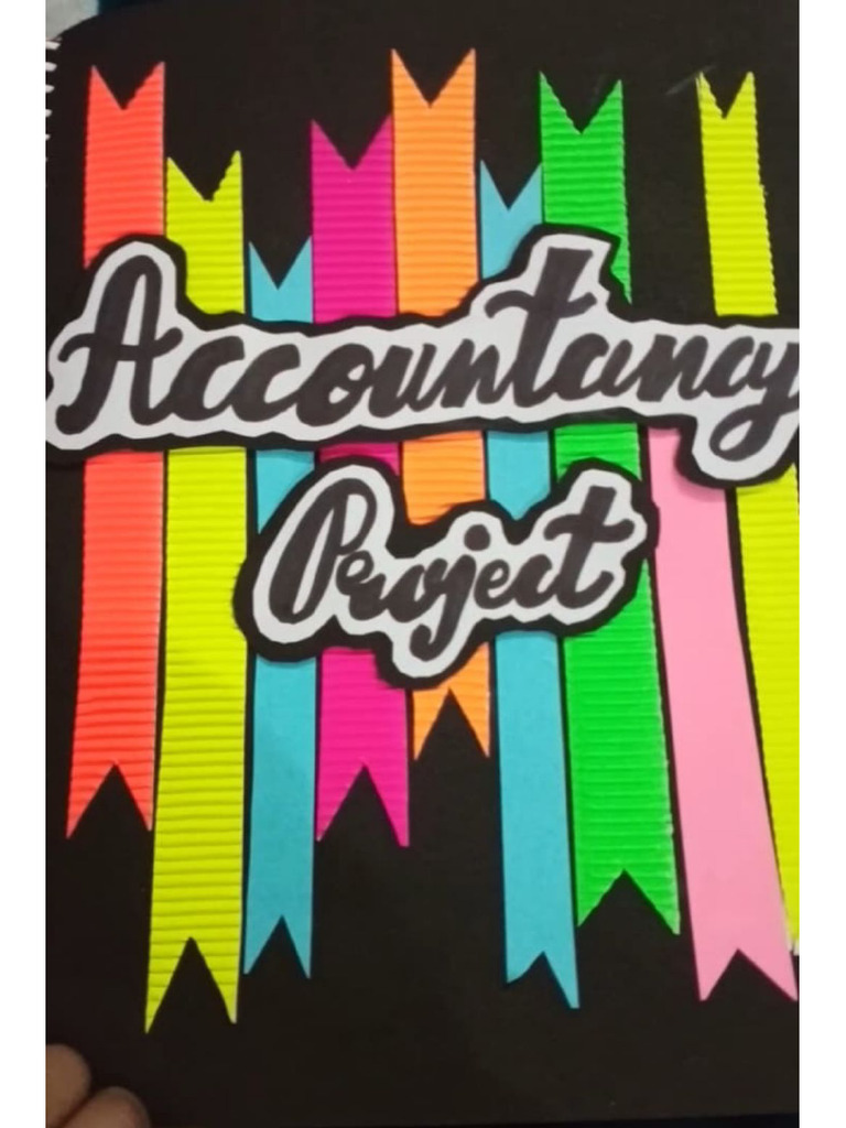 Accountancy Project File | PDF