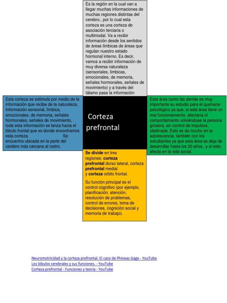 Cruz Categorial | PDF | Cerebro | Percepción visual