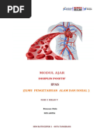 Sistem Peredaran Darah Kelas V | PDF | Karier & Perkembangan | Komputer