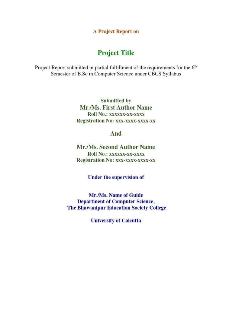 Project Template and Rules | PDF