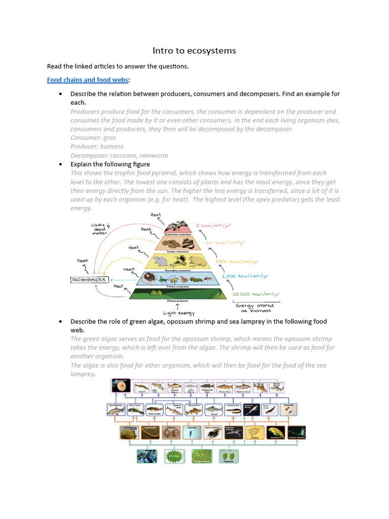 Intro Into Ecosystems | PDF | Food Web | Primary Production