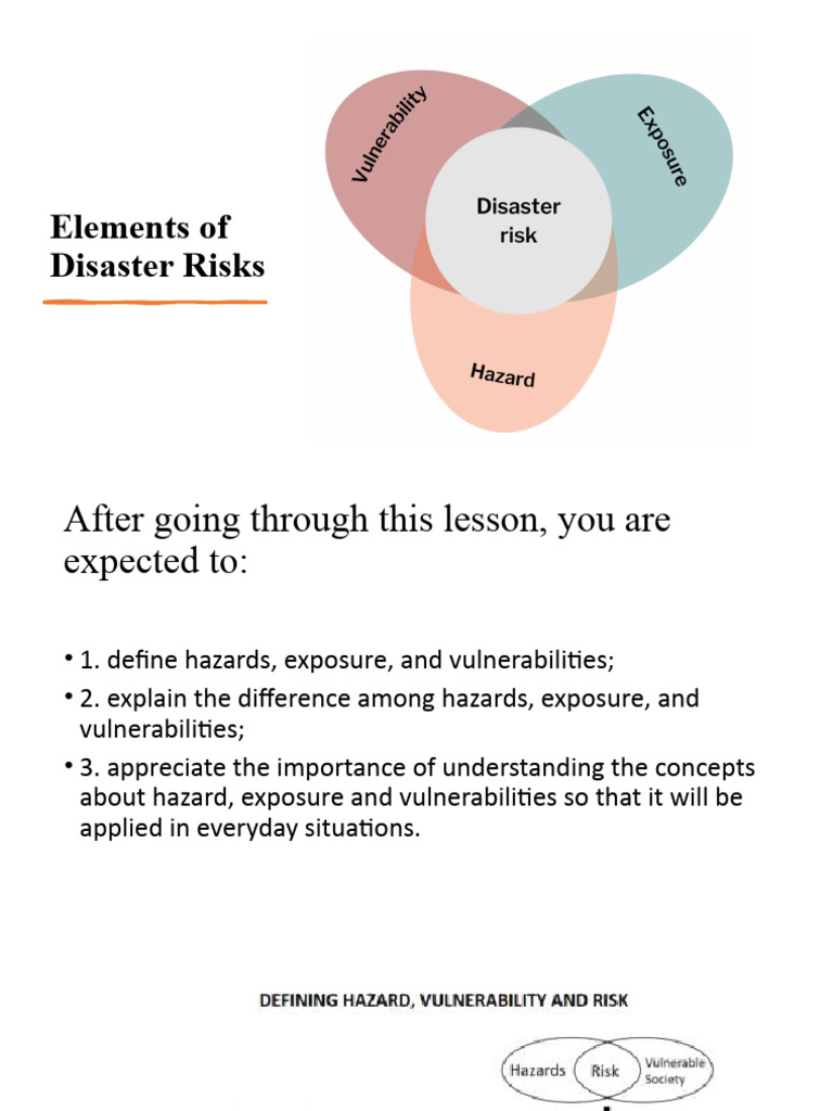 A.4 Elements of Disaster Risk | PDF | Hazards | Vulnerability