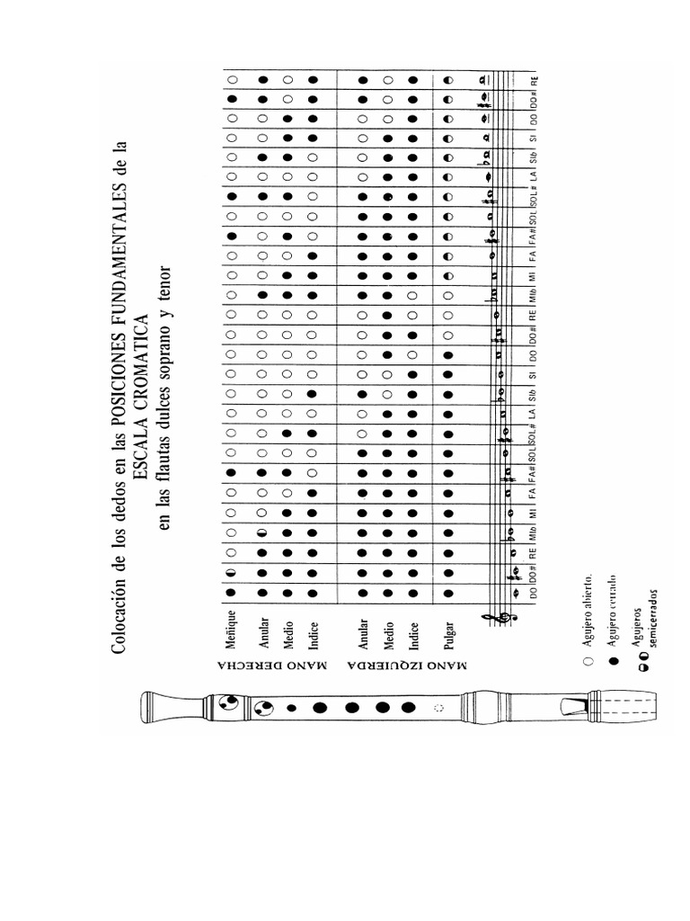 Posiciones Flauta | PDF