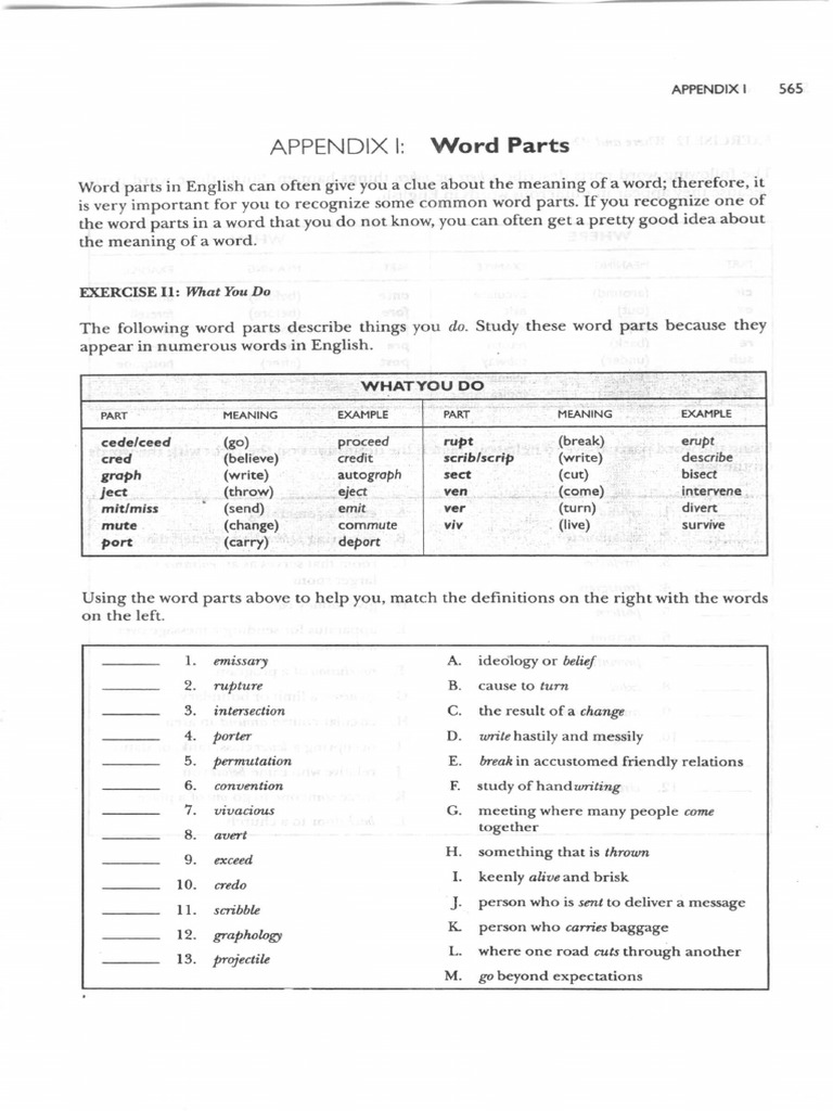 Word part exercises | PDF