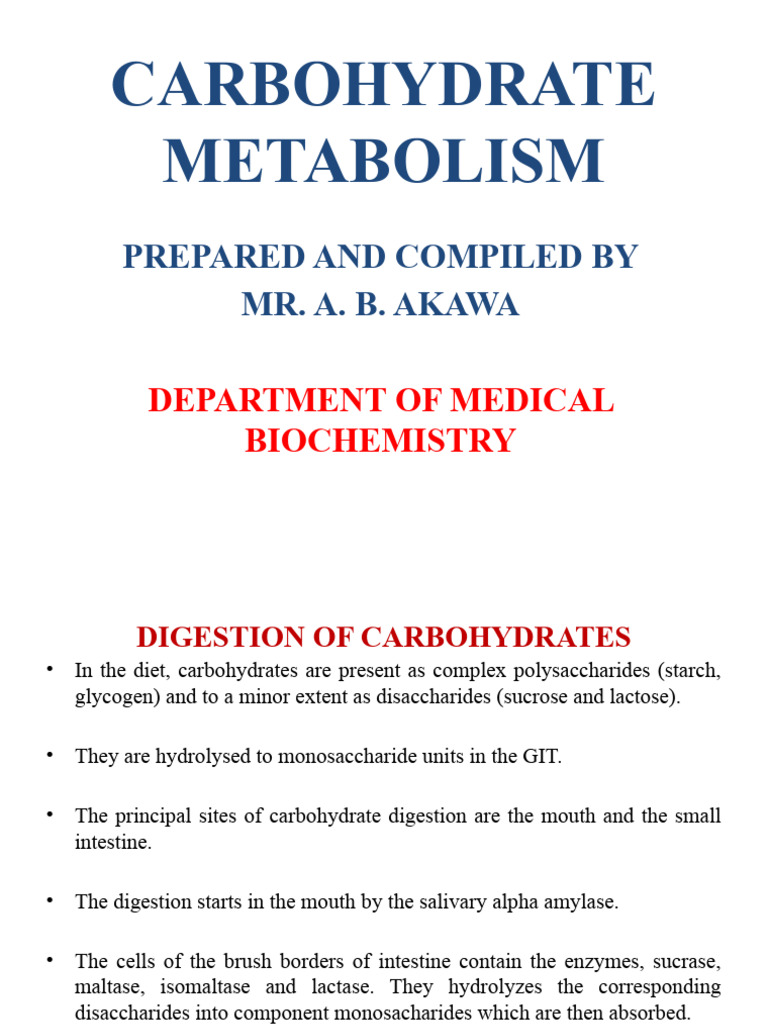 CARBOHYDRATE METABOLISM Power Point Lecture Notes | Download Free PDF ...