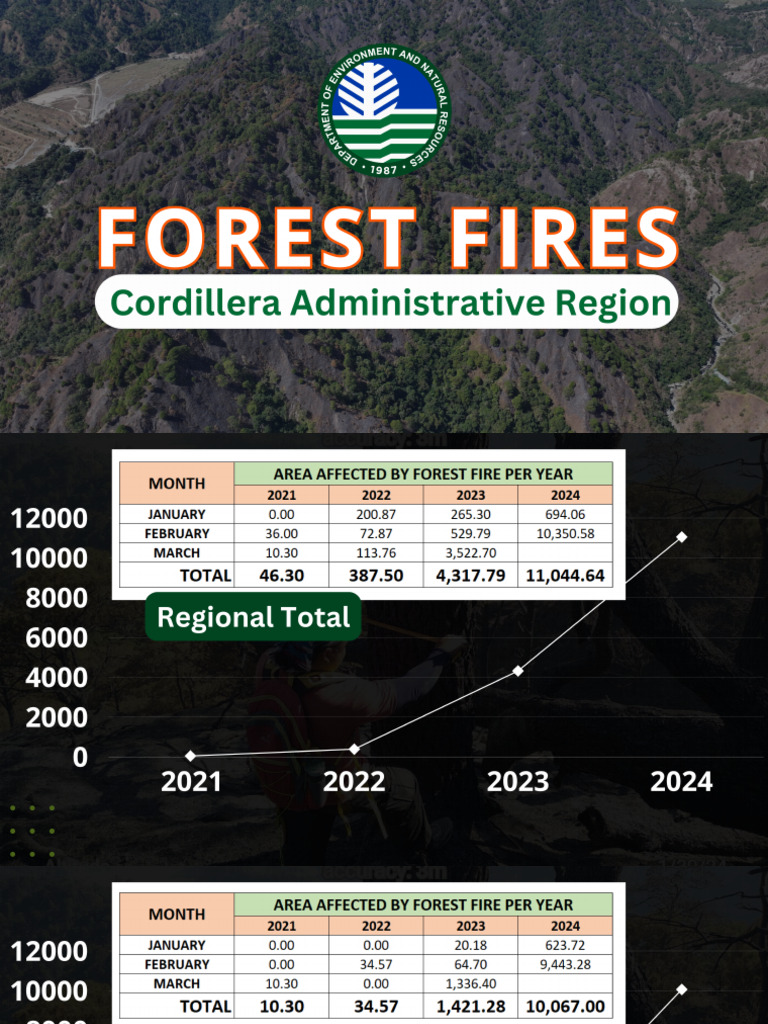 Forest Fire CAR Benguet | PDF
