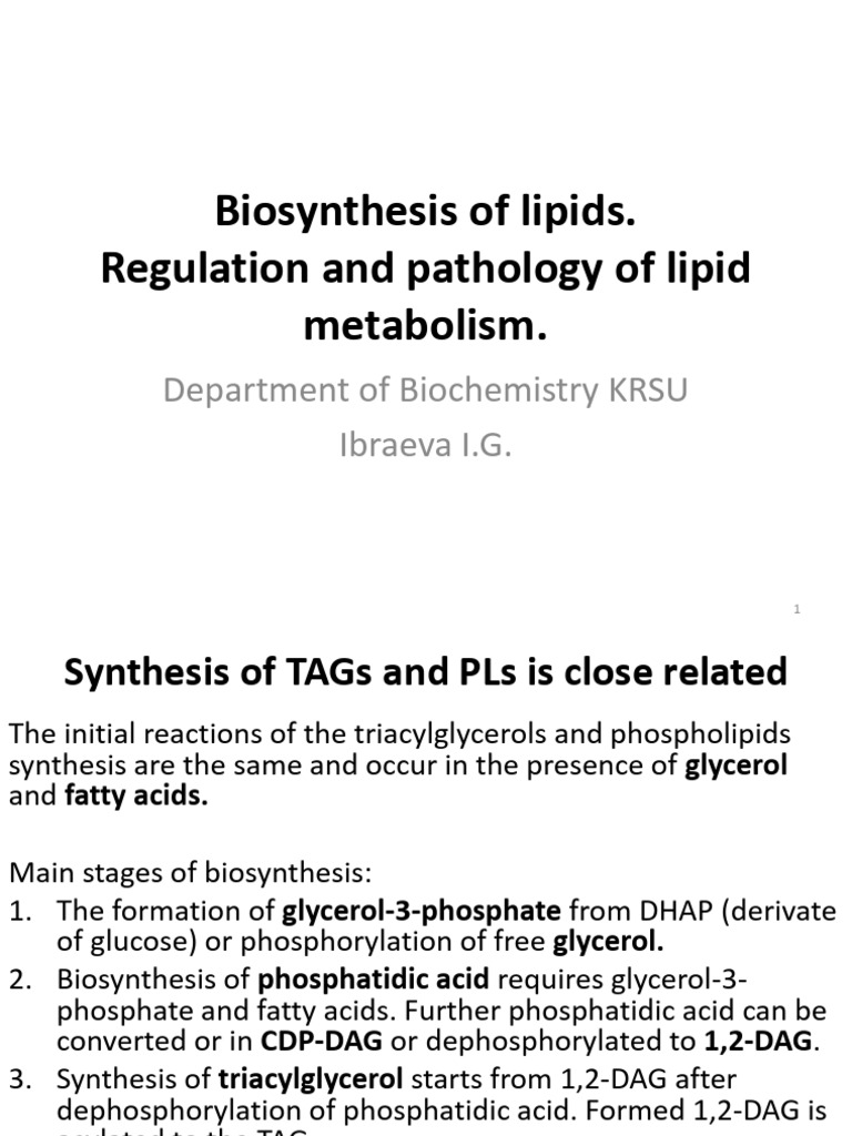 19.biosynthesis of Lipids - 17-43 | PDF | Lipoprotein | Cholesterol