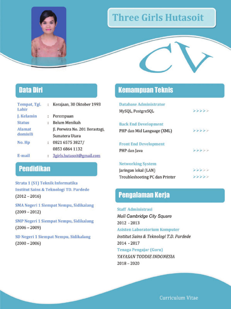 cv mr diy | PDF