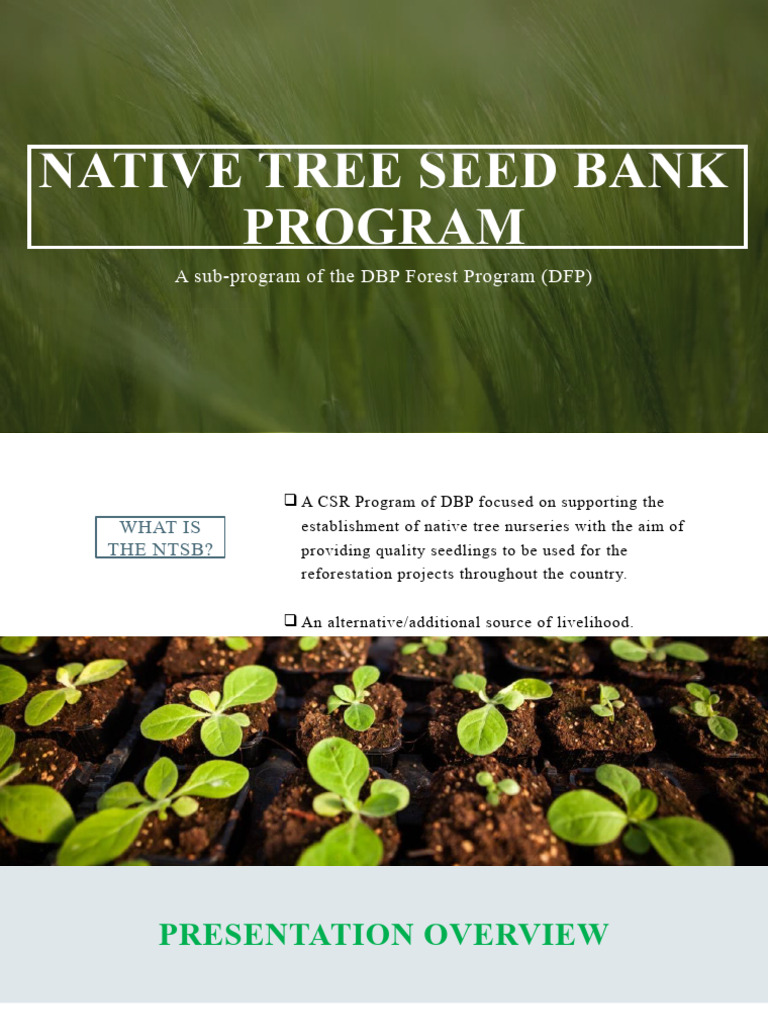 Native Tree Seed Bank Program | PDF | Plant Nursery
