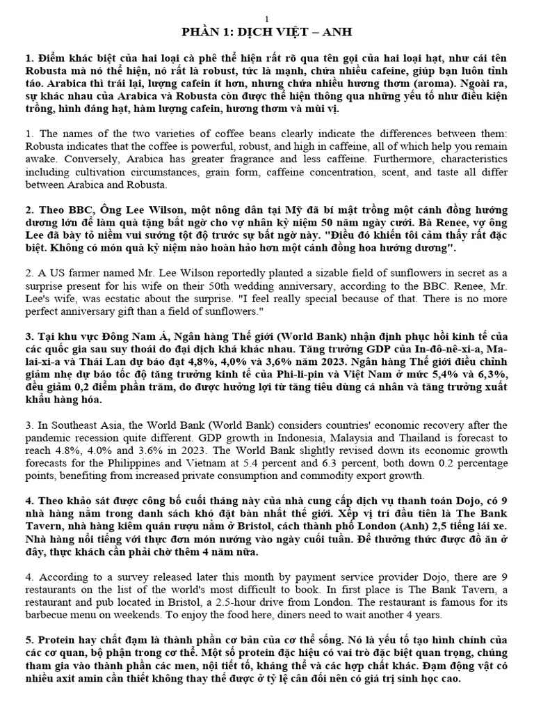 Dich Viet - Anh | PDF