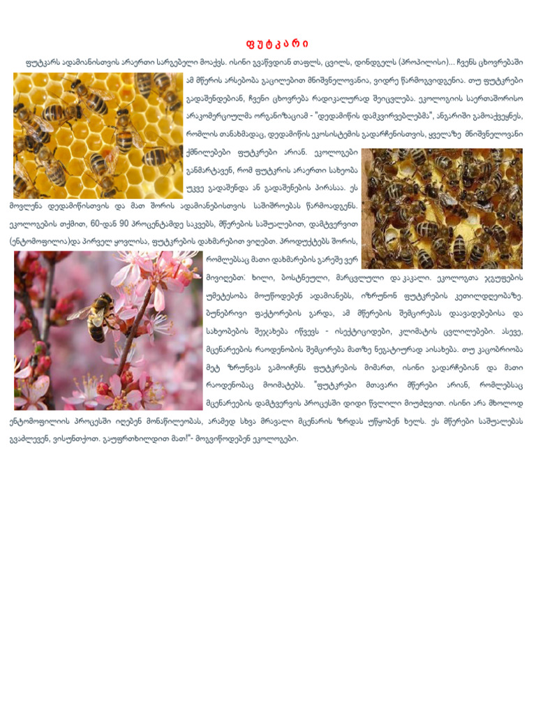 ფუტკარი | PDF