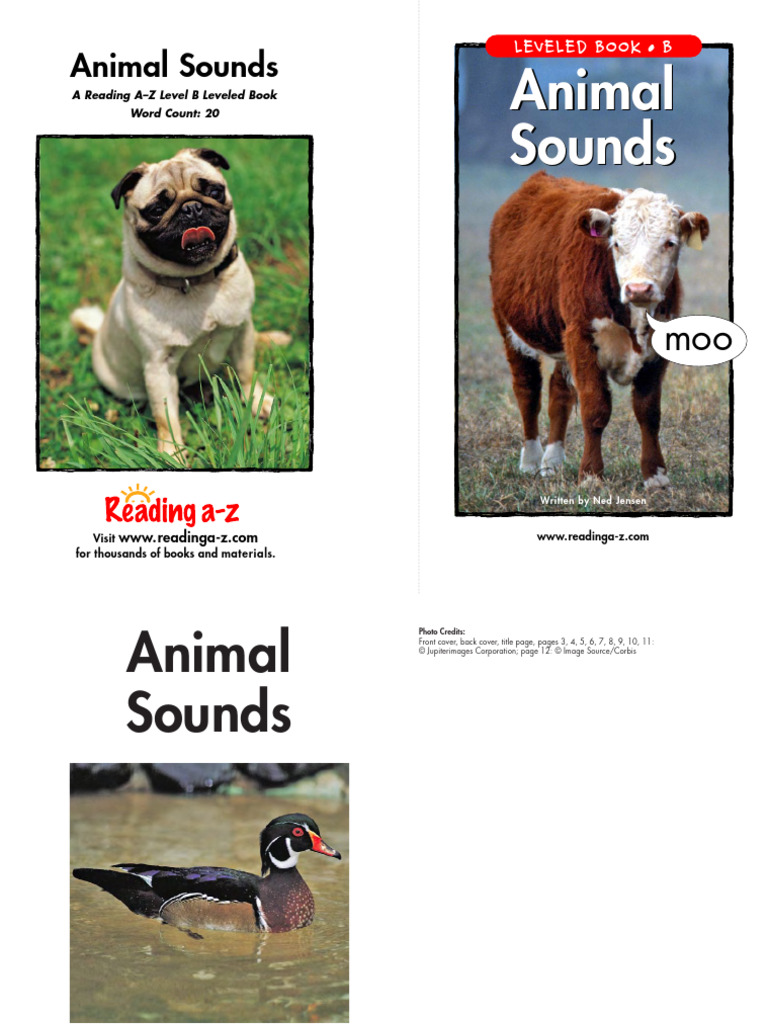 RAZ-B 008 Animal Sounds | PDF