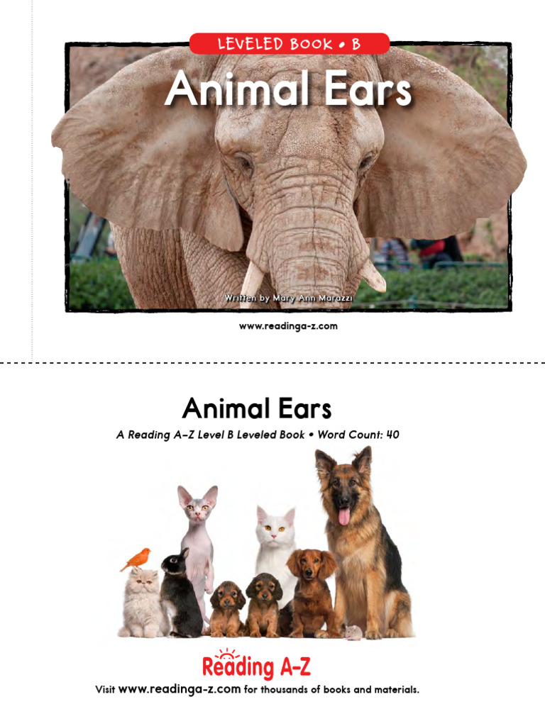 RAZ-B 013 Animal Ears | PDF