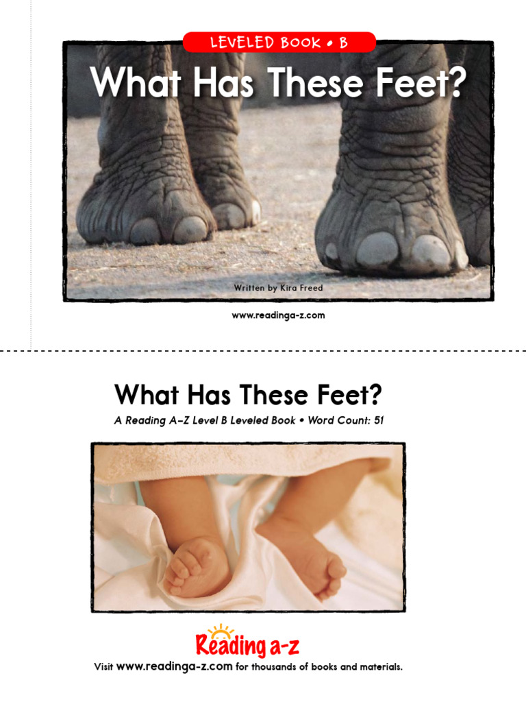 RAZ-B 015 What Has These Feet | PDF | Cognition | Applied Linguistics