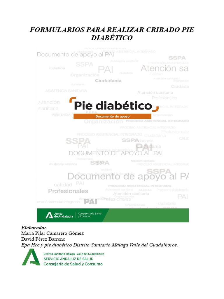 Documento de Programa de Pie Diabético. Final | PDF | Diabetes | Pie