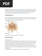 Ethmoid Bone - Location - Structure - Relationships - TeachMeAnatomy | PDF | Human Nose | Human ...