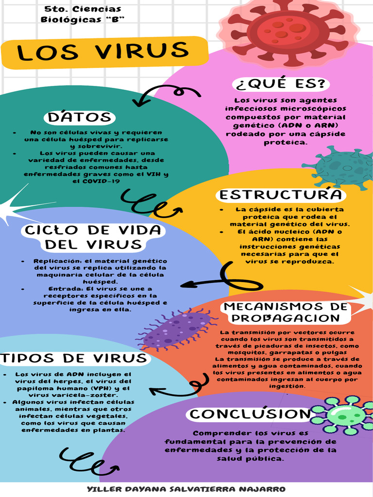 Infografía VIRUS | PDF | Virus | Inmunología