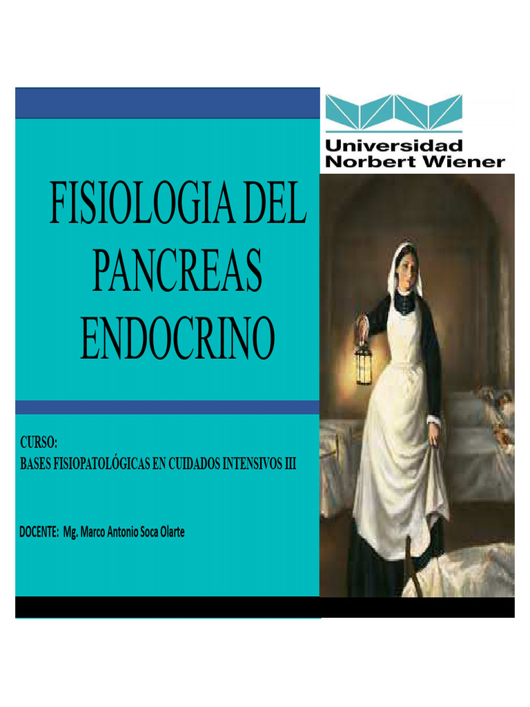 Fisiologia Del Pancreas Endocrino PDF | PDF | Insulina | Carbohidratos Fisiologia Del Pancreas Endocrino PDF | PDF | Insulina | Carbohidratos