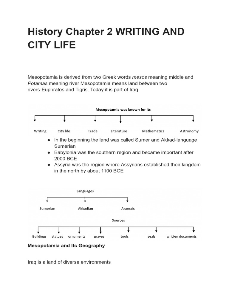 History Chapter 2 Writing and City Life | PDF | Mesopotamia | Sumer
