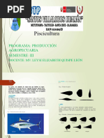 Tipos y funciones de las aletas en peces | PDF | Pescado | Vertebrados ...