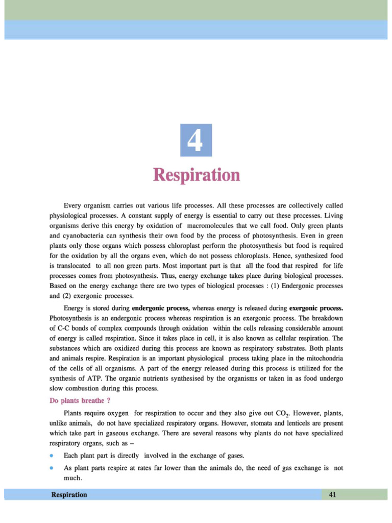 Chap4 RESPIRATION GSEB STD 12 | PDF