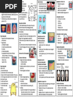 Record Bases and Occlusal Rims | PDF | Dentures | Materials