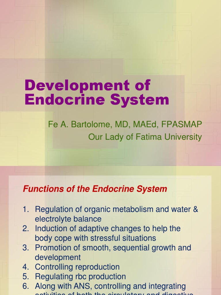 Development of Endocrine System | PDF | Adrenal Gland | Pancreas