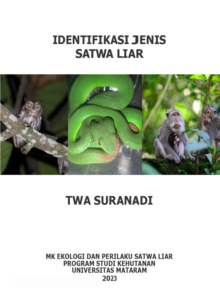 Buku Satwa Liar Suranadi | PDF