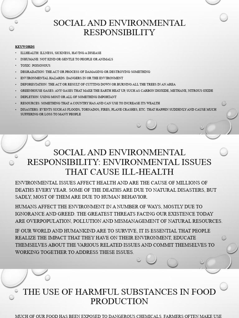 Social and Environmental Responsibility | PDF | Deforestation | Water
