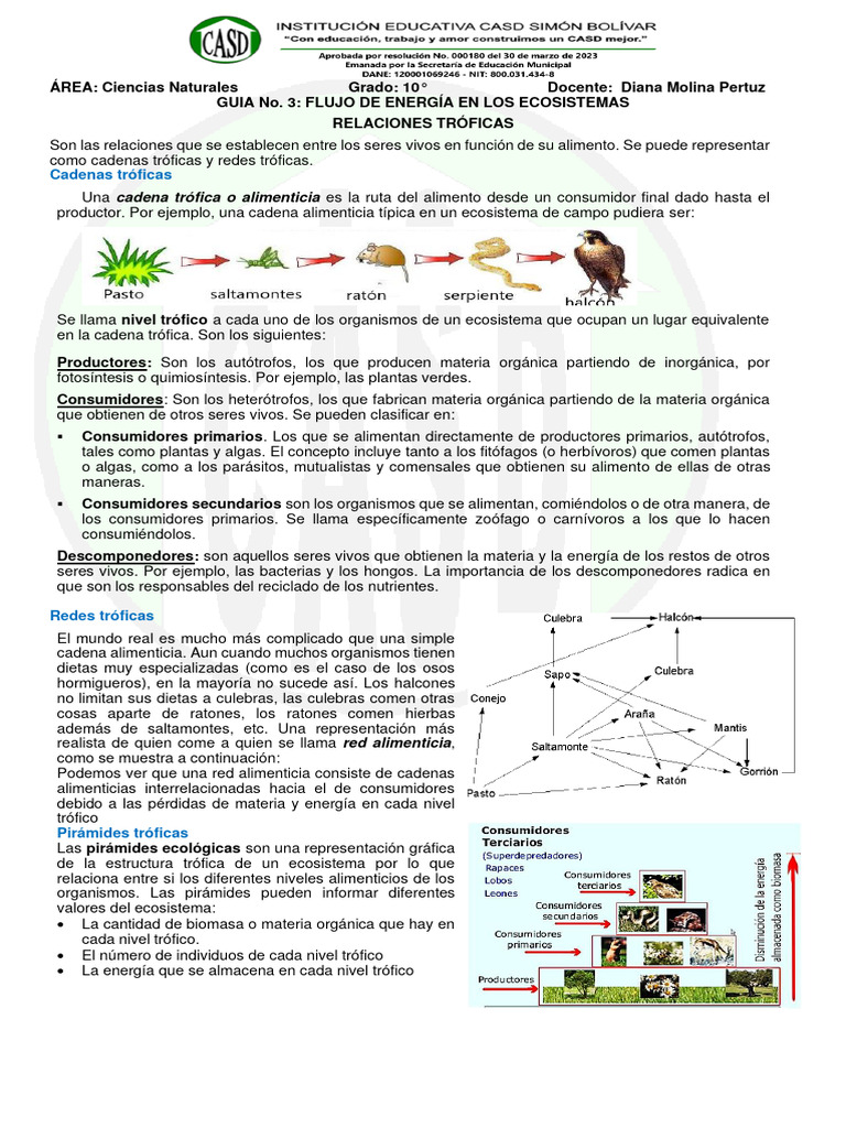 GUÍA No. 2 - FLUJO DE LA ENERGÍA EN LOS ECOSISTEMAS | Descargar gratis PDF | Red alimentaria ...